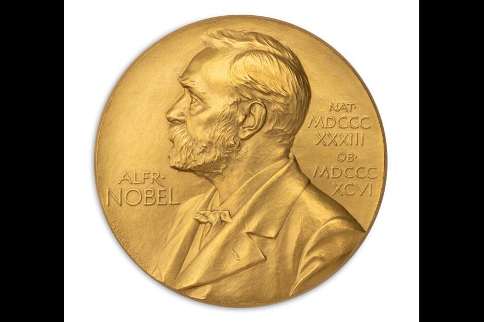 Two chemistry Nobel medals sold in December auctions | News | Chemistry ...